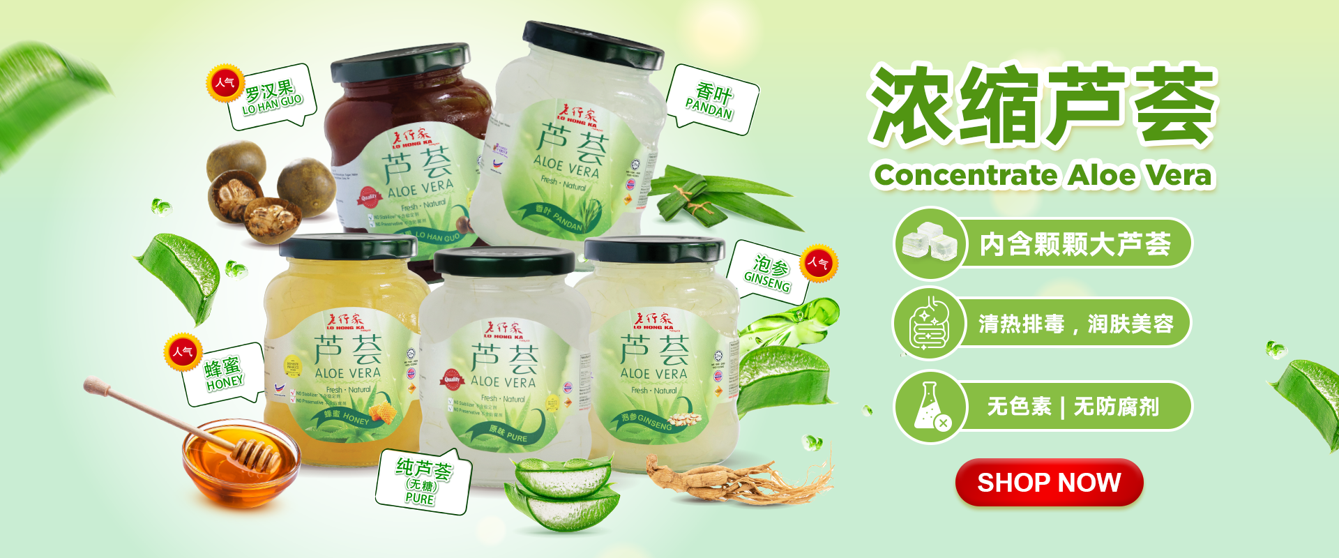 Lo Hong Ka Aloe Vera Series – JinYeYe Singapore